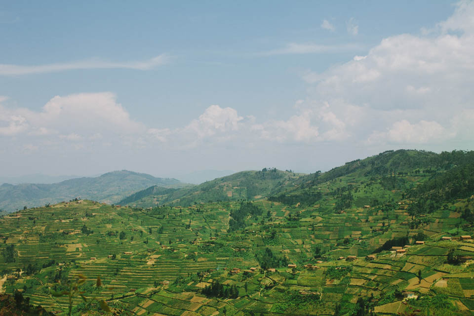 Discover the beauty of Rwanda with these FREE backgrounds!