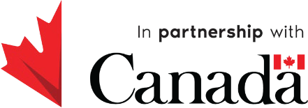 The Digital Dance - The Wellspring Foundation for Education