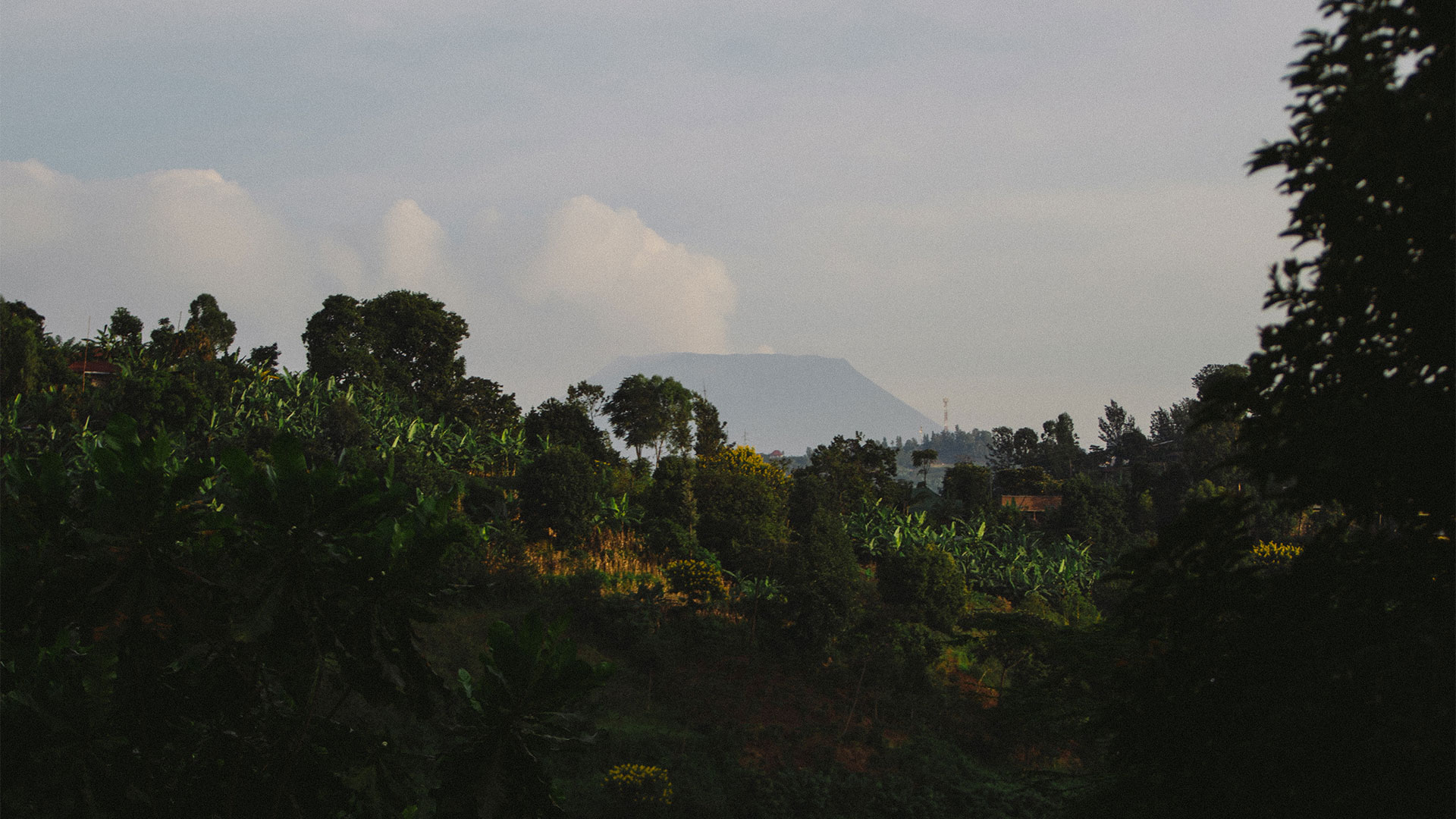 Our COVID-19 Response | The Wellspring Foundation for Education